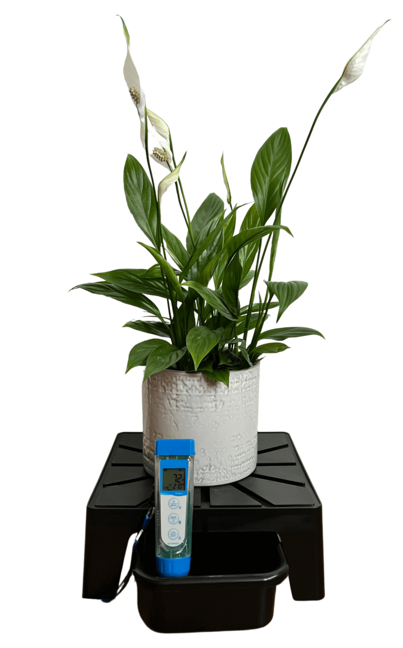 Nutrient Control With The DrainMaster Drip Stand - Drain-Master.de ...